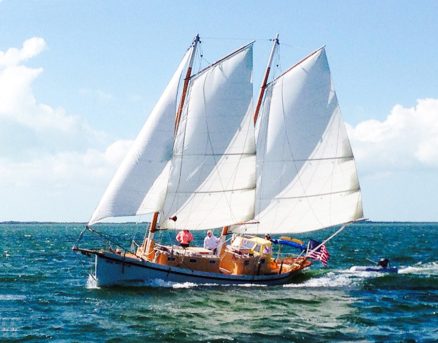 My Six Cruising Sailboats—#6 IBIS | Wooden Boat