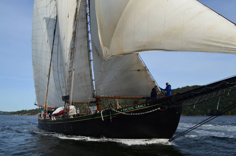 PACIFIC GRACE | WoodenBoat Magazine