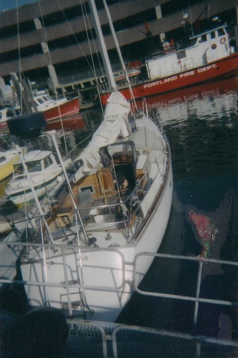 GOLDENEYE | WoodenBoat Magazine