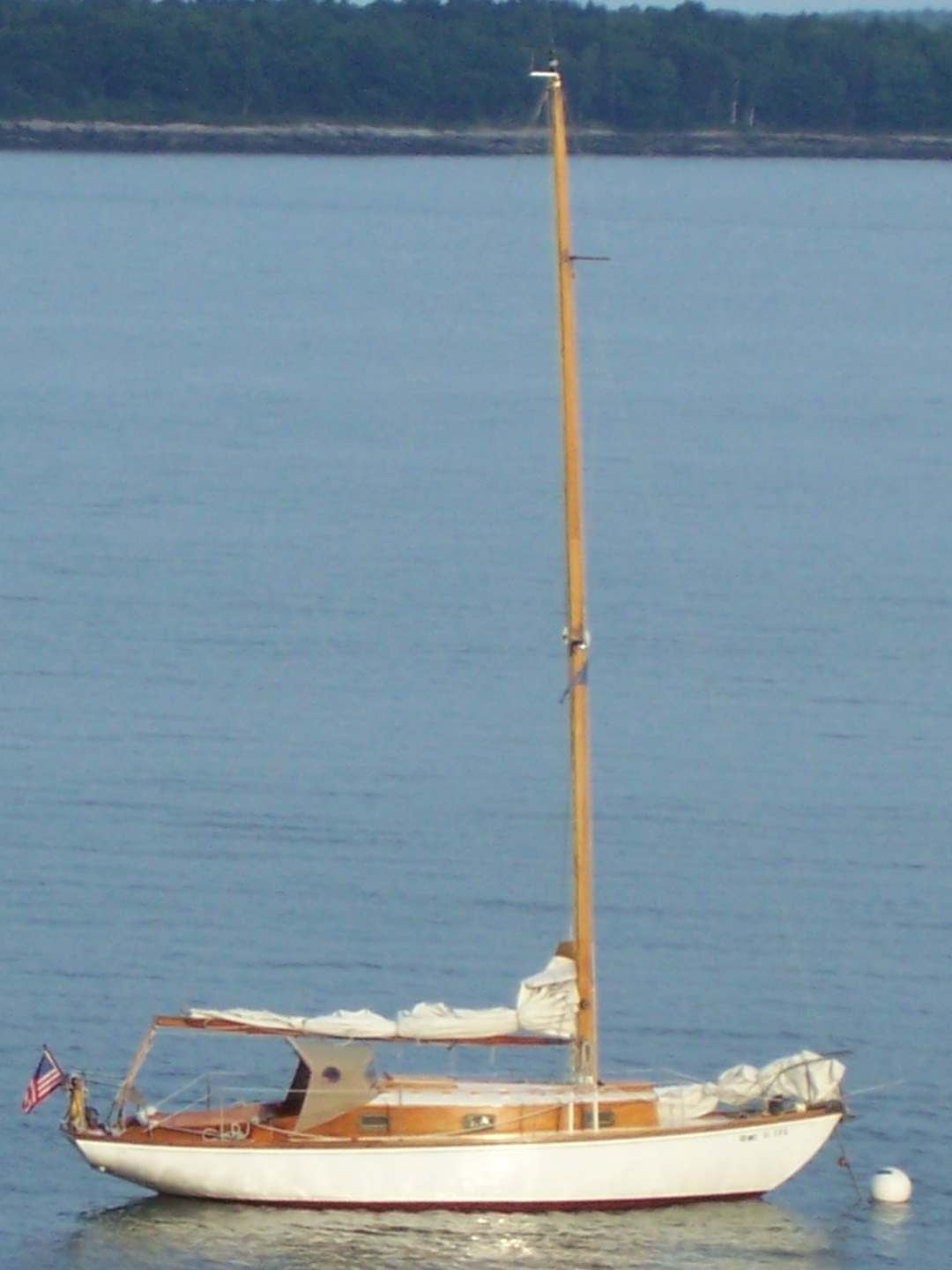 DOLPHIN | WoodenBoat Magazine