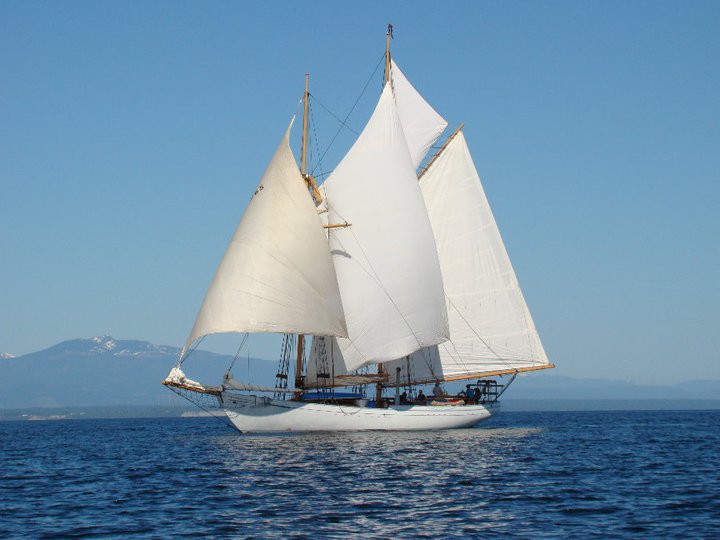 ALCYONE | WoodenBoat Magazine