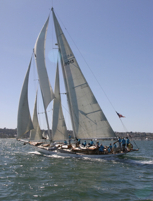 CURLEW | WoodenBoat Magazine