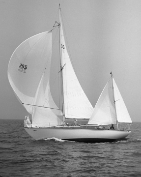 JESTER | WoodenBoat Magazine