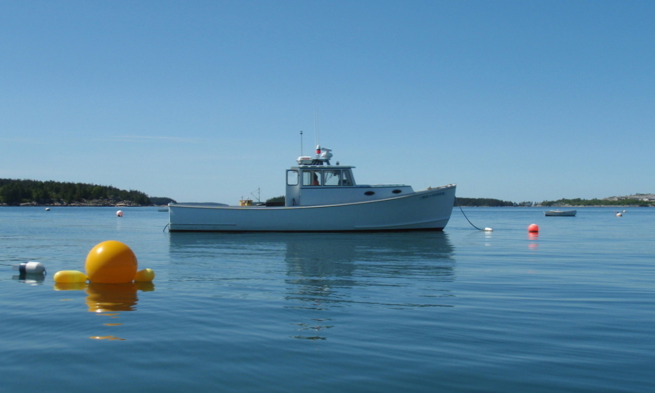 SEA HAWK | WoodenBoat Magazine