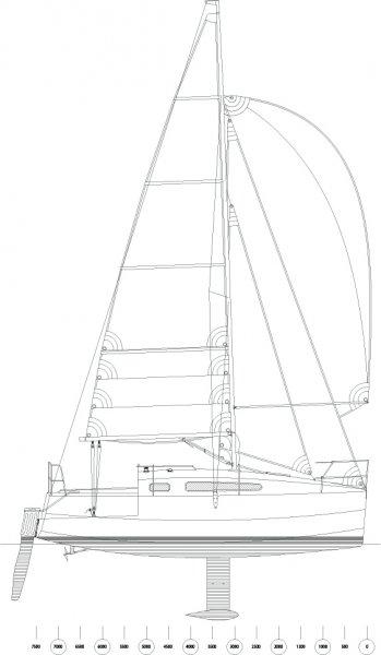 AC 75 Evolution | WoodenBoat
